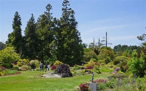 Mendocino Coast Botanical Gardens Fort Bragg Visitor Information