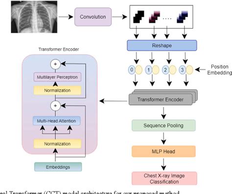 Figure 2 From Covid 19 Chest X Ray Classification Using Compact