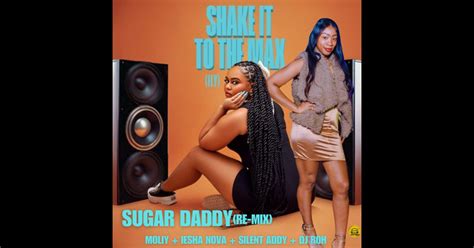 ‎shake It To The Max Sugar Daddy Re Mix Fly Feat Moliy Dj Roh