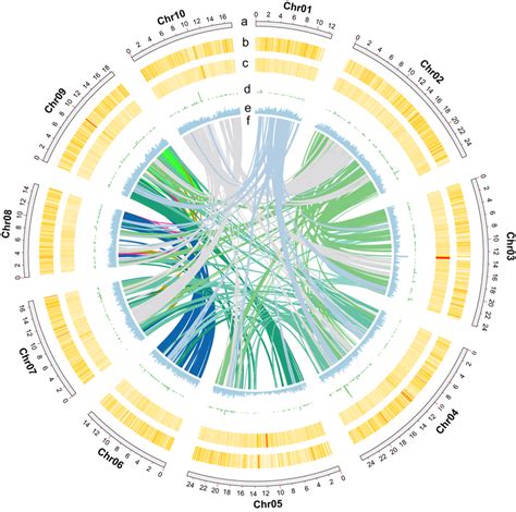 Genomic Features Of S Album Circos Plot From The Outer To The Inner
