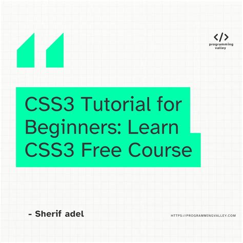 programming valley on linkedin programming course