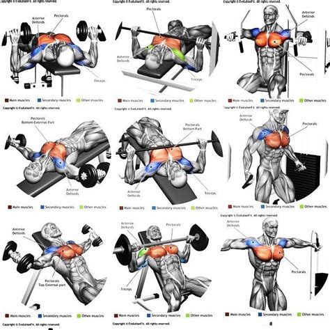 Here Are Some Amazing Compound Exercises For Developing The Chest Hit The Muscles From Various