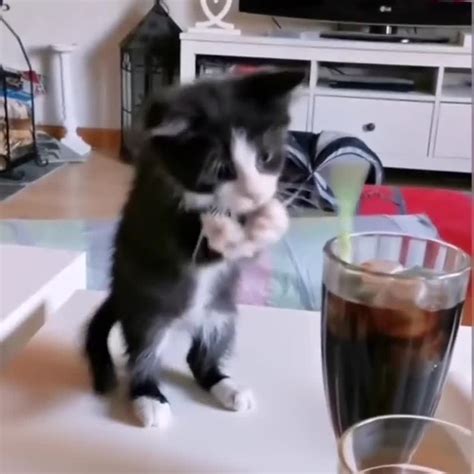 Drinking Problem Album On Imgur