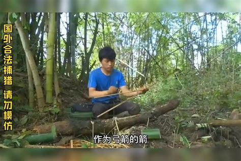 越南小哥荒山野岭狩猎竹鼠！运气真好，又收获一只又肥又大的竹鼠