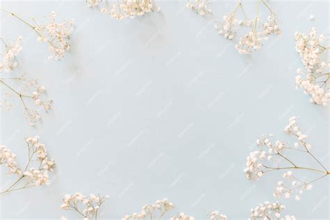 배경에 장식 식물 무료 사진