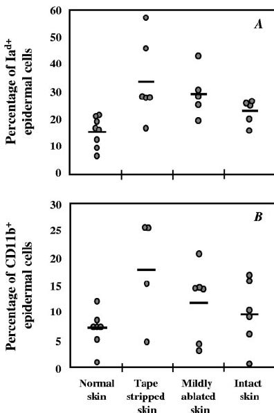 Effect Of Skin Barrier Disruption On The Phenotype Of Epidermal Cells Download Scientific