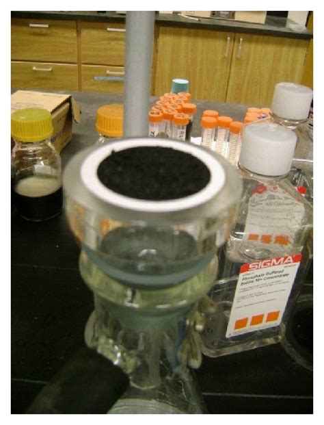 The Formed Film Of Functionalized Carbon Nanotubes Download Scientific Diagram