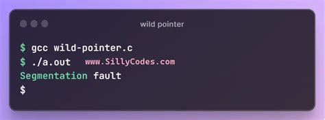 Wild Pointer In C Language With Example Programs Sillycodes