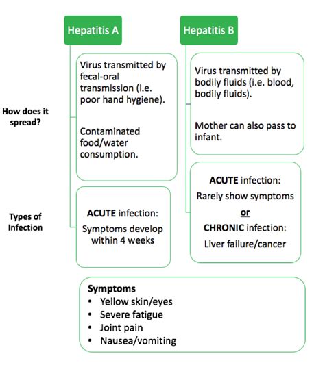 Hepatitis A And B Midwest Asian Health Association
