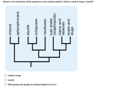 Solved Which Of The Following Is The Correct Order For