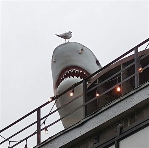 Antoine Marmoiton On Linkedin I Was Walking Along Regents Canal It