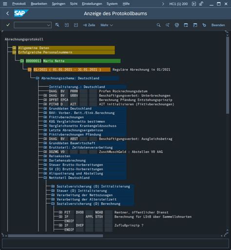sap gui version reviewlena