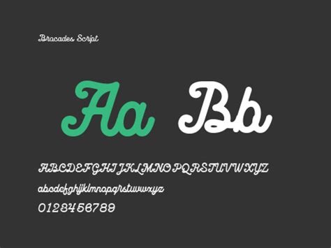 Brocades Script ttf字体下载 BrocadesScript Rounded 36996 1 000 搜字体网