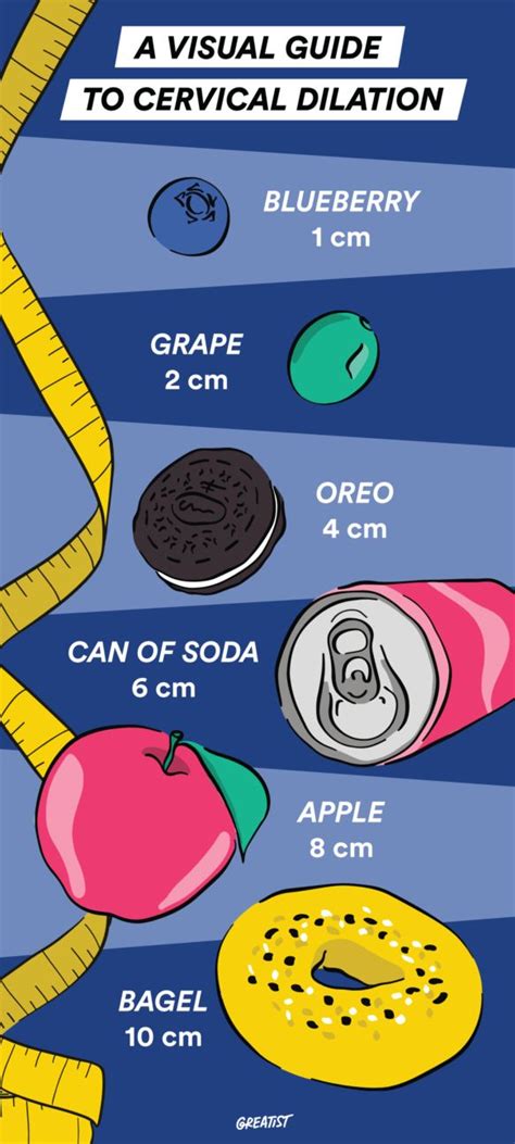 Dilated Cervix During Labour