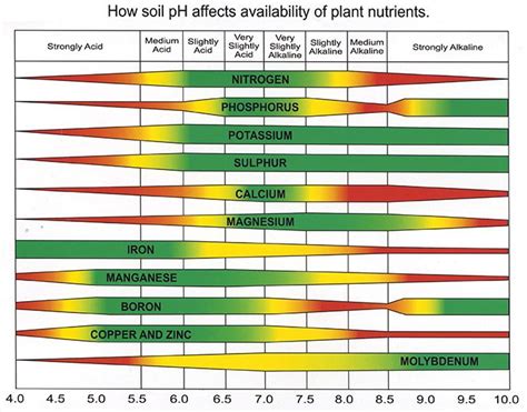 Grass Soil Ph Scales Charts And More For Understanding Levels Soil