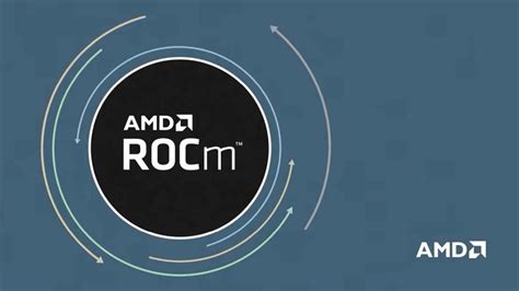 Amd Active Enfin Pytorch Sur Windows Et Linux Ginjfo