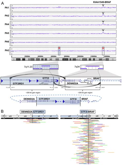 a copy number variation cnv genomic profiling with cytoscan hd snp