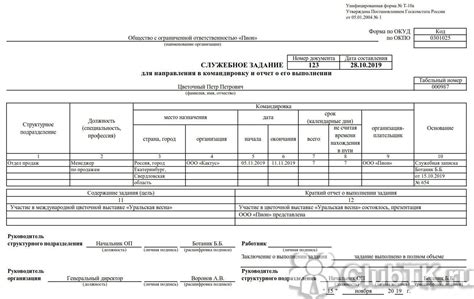 Образец приказа о направлении в командировку 2025 Скачать бланк формы Т 9