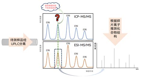 液质质与icp质谱二联机形态分析技术 杭州谱育科技发展有限公司
