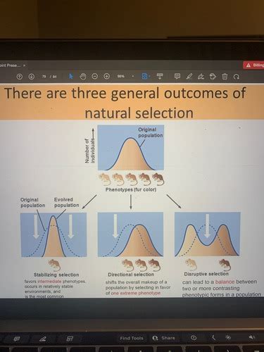 Biology Chapter 13 How Populations Evolve Flashcards Quizlet