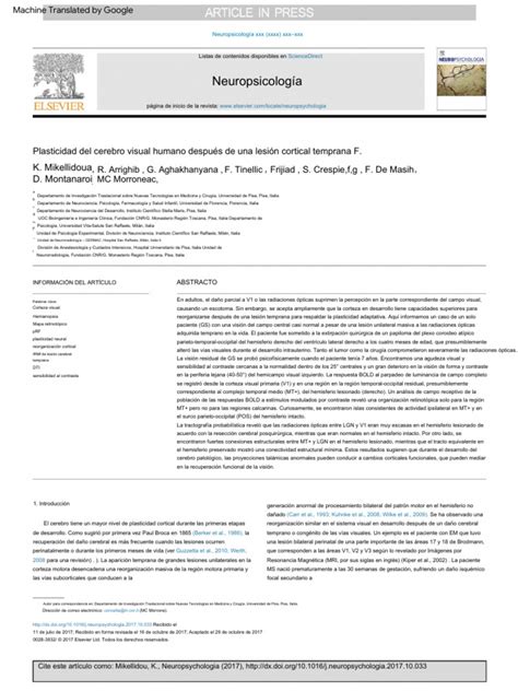 3 9 15 Plasticity Of The Human Visual Brain After An Early Cortical