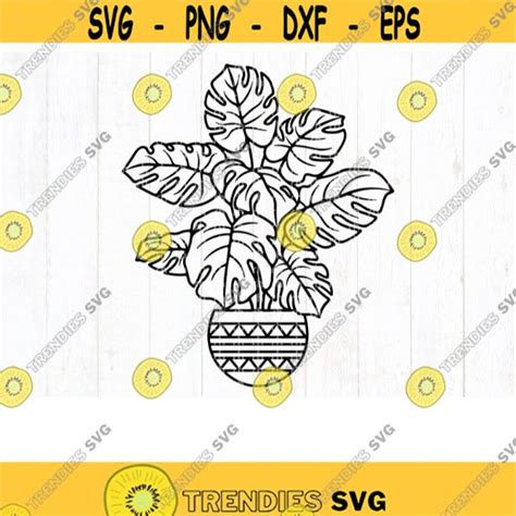 Vintage Scroll Paper Svg Blank Treasure Map Svg Pirate Map Svg Design 187 Pirate Maps Svg