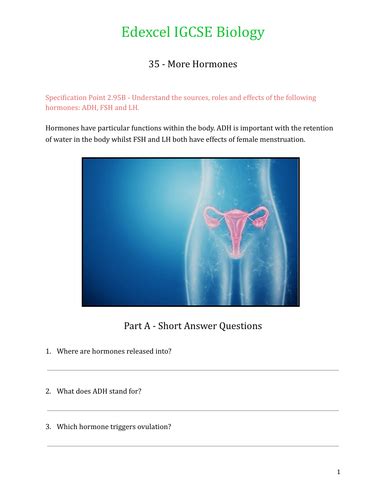 Edexcel Igcse Biology Worksheets Chapter 4 Coordination And Control Teaching Resources