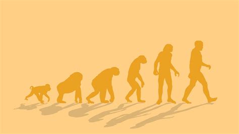 La Teoría Actual De La Evolución The Evolution Of Bacteria Does Sex