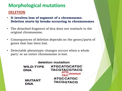 Mutation Gene And Chromosomal Pptx