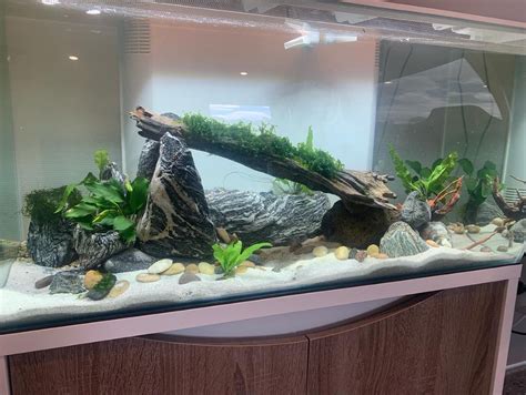 Fluval Flex 123l R Aquascape