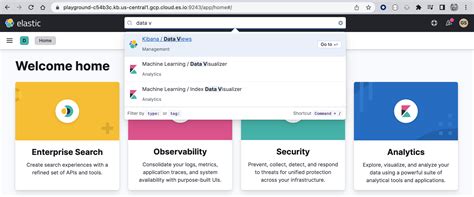 Global Search Uses Type Index Pattern Instead Of Data View · Issue