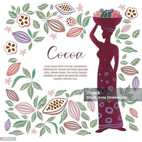 농부 여자는 초콜릿 생산을위한 원료로 사용되는 코코아 포드가 든 바구니를 가지고 다닙니다 코코아 포드로 가득 찬 바구니가있는 피커 코코아 콩 벡터 그림입니다 코코아에 대한
