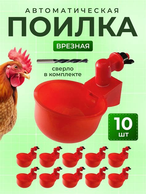 Поилка для Кур купить на OZON по низкой цене