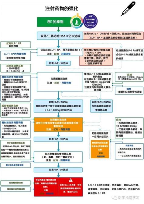 2 型糖尿病高血糖治疗 Ada 和 Easd 专家共识（中文摘译版）