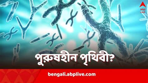 Vanishing Y Chromosome A New Sex Gene May Decide The Future Of Men Vanishing Y Chromosome