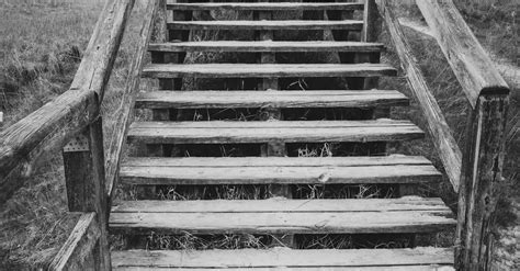 Quiz Understanding Grain Direction Quizzlyai