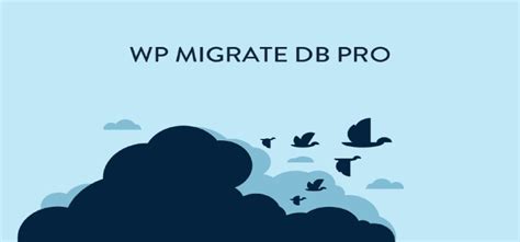 Wp Migrate Db Pro Review Pros And Cons 2025 Is It Worth It