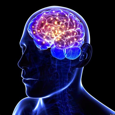 Olfactory Memory Kuss Essentials Expert Commercial Scenting Solutions For Businesses