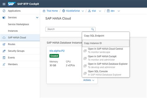 Testing Your Cap Hana Artifacts With Jest Includ Sap Community