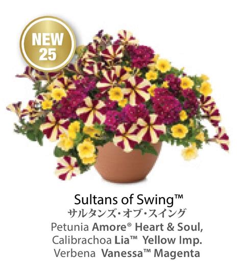 Pin Von Людмила Кононова Auf Цветочные композиции