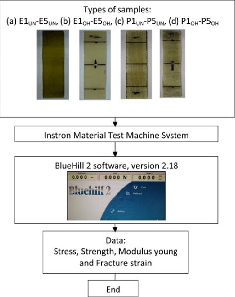 Process Flow Of The Mechanical Testing Procedure Download Scientific Diagram