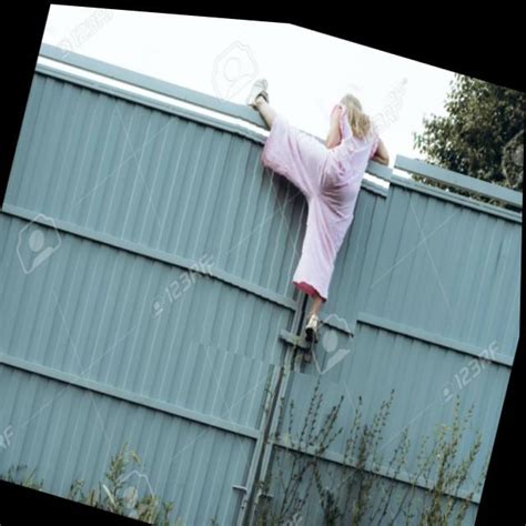 Climbing Detection Object Detection Model V1 2023 08 10 2 35pm By Min Tang