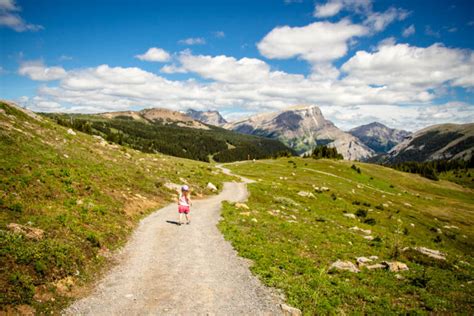 Sunshine Meadows Hike In Banff National Park Travel Banff Canada