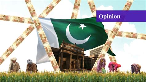 Tax Evasion Poison For Agriculture Paradigm Shift