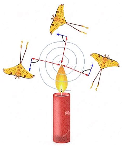 Moth Flame Optimization Download Scientific Diagram