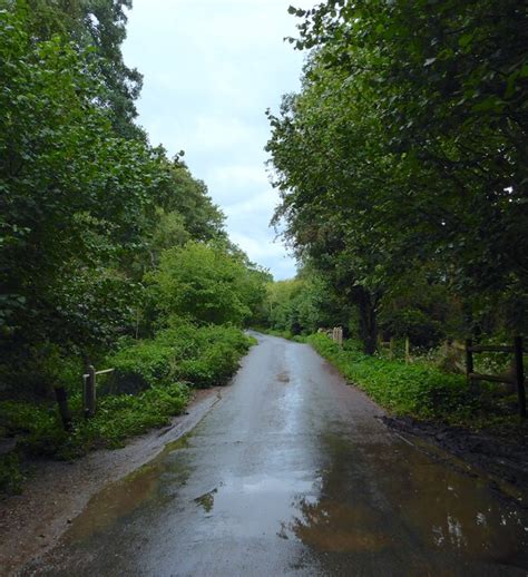 Passfield Road © Simon Carey Geograph Britain And Ireland