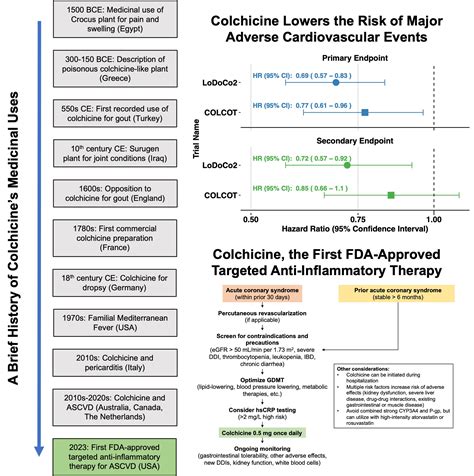 Colchicines Role In Cardiovascular Disease Management Arteriosclerosis Thrombosis And
