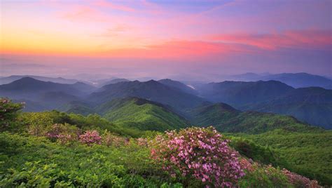 제11회 국립공원 사진공모 입상작 2 네이버 블로그