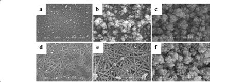 Sem Micrographs Of Pedot Electropolymerized On Ac Ito And Df Pva Go