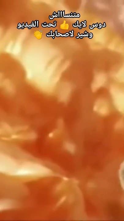 الاخصاب 🤗 Biology Youtube